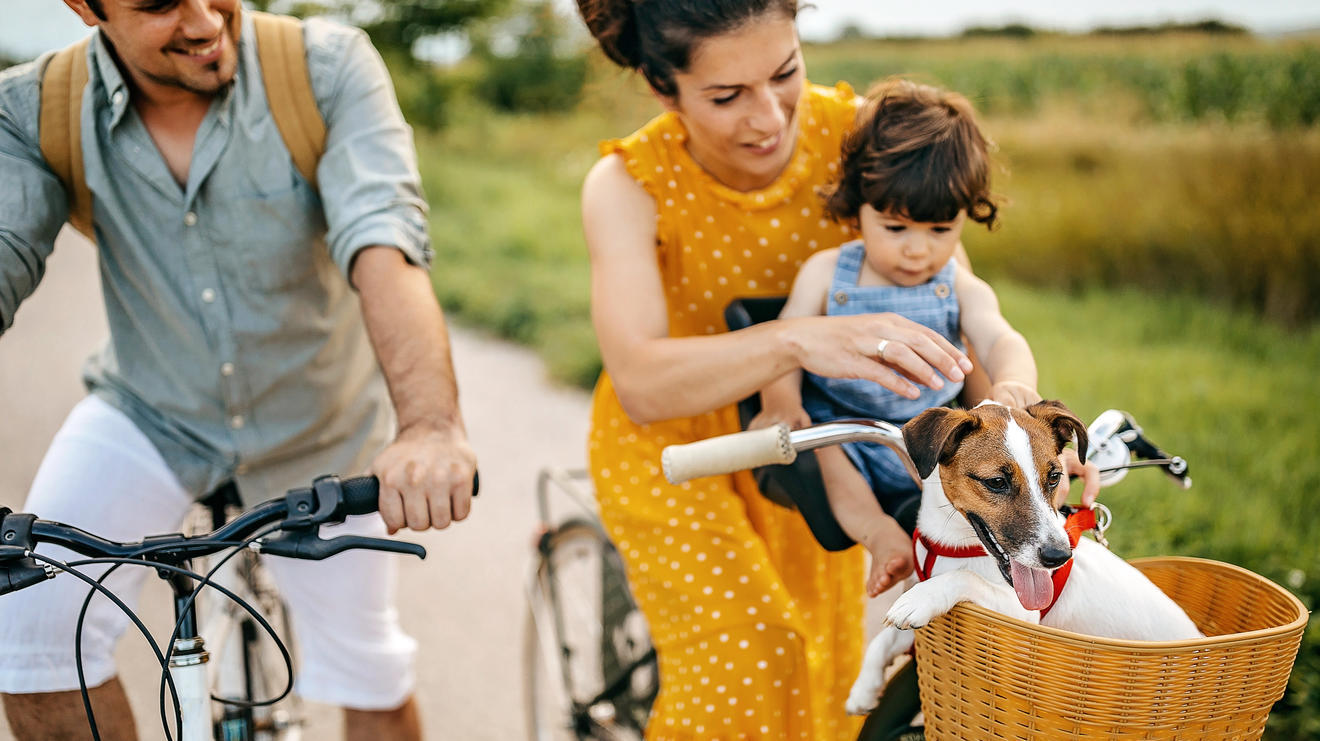Family & Kids | Ad Alliance